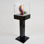 Acrylic Plinth Display Case | Luminati