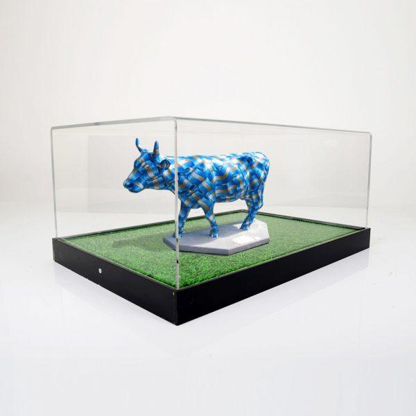 Custom Printed Display Case | Acrylic Display Case | Luminati