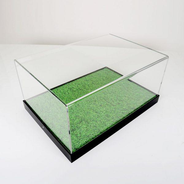 Custom Printed Display Case | Acrylic Display Case | Luminati