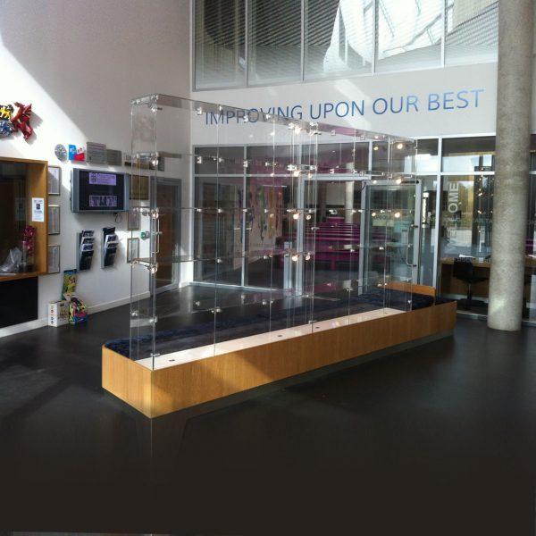 Custom Made Trophy Display Cabinet | Trophy, Collectibles & More