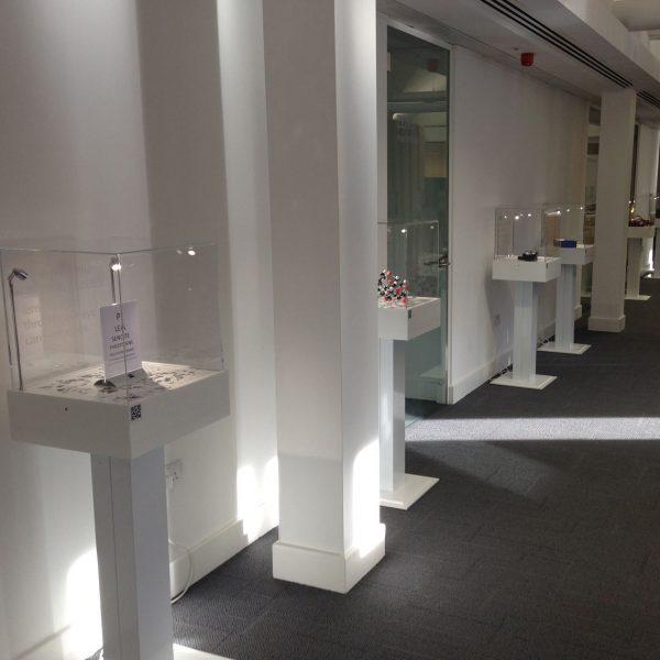 Acrylic Plinth Display Case | Luminati