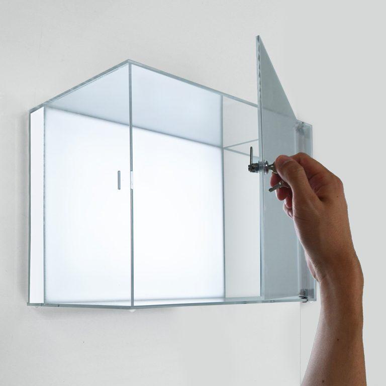 Wall Mounted Display Case with Illumination