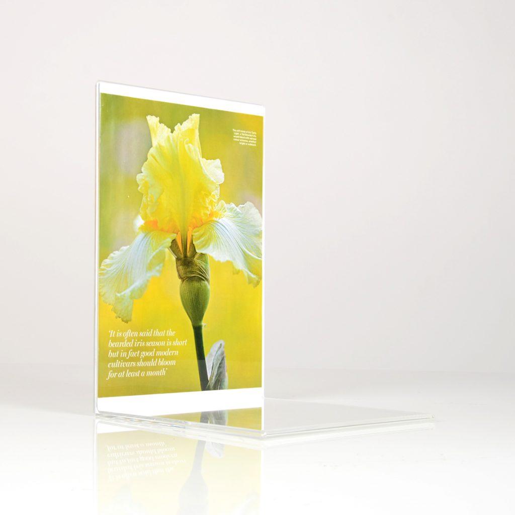 Promotional Counter Merchandisers from £10.21