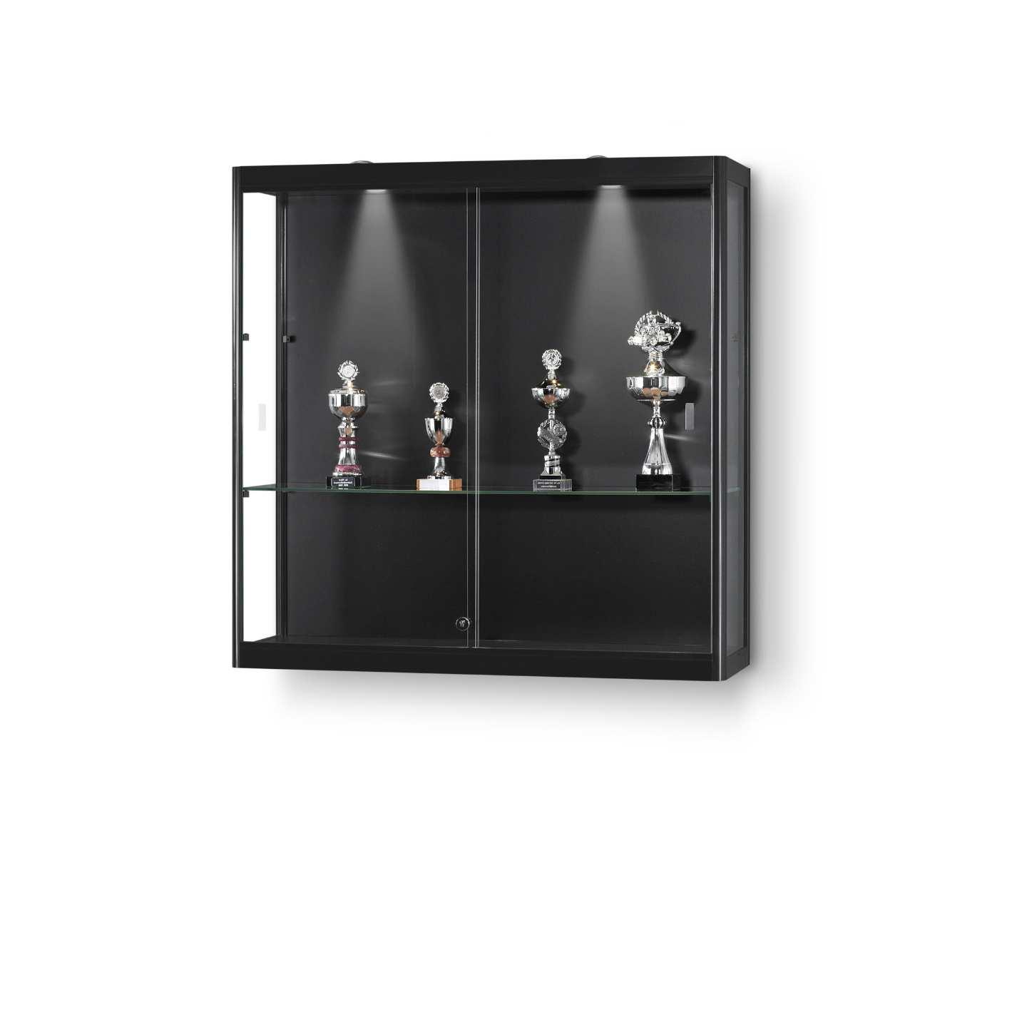 Wall Curio Cabinet Glass Illuminated Mango Wood & Glass Wall Display
