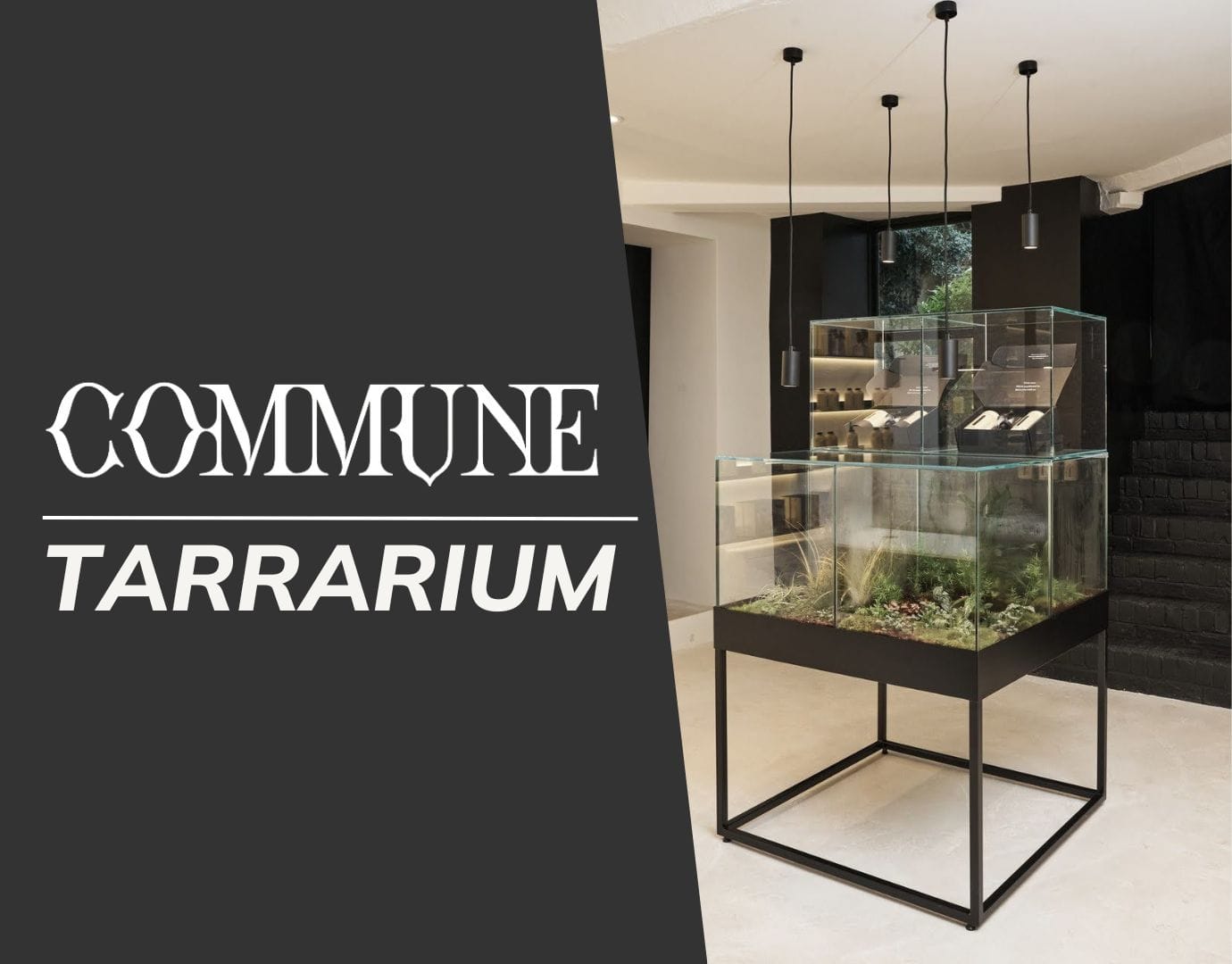 Bespoke Terrarium For Commune CC Ltd | Luminati Case Studies