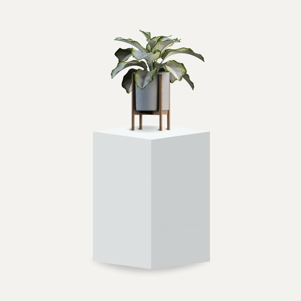Retail Display Plinths and Pedestals | Luminati