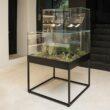 Custom Floor Standing Glass Terrarium Display | Luminati
