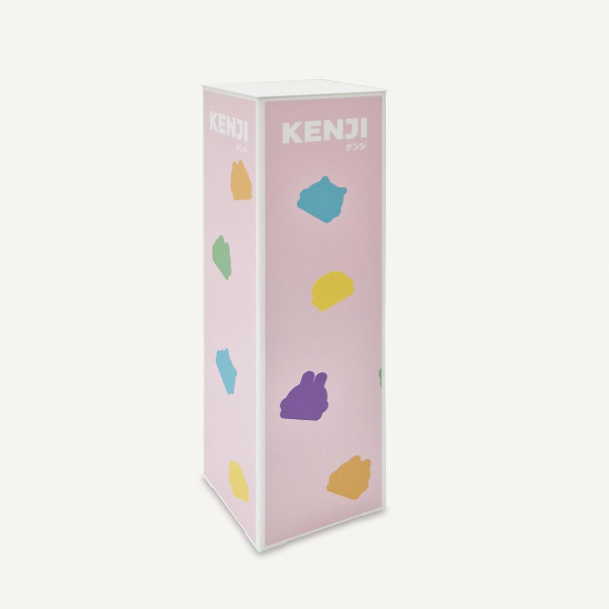 Display Plinths | Retail, Gallery, Exhibition & Event Pedestals UK